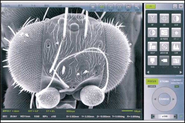 JEOL JSM 6010 | Мобильный электронный микроскоп
