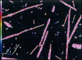 JEOL JSM 6010 | Мобильный электронный микроскоп